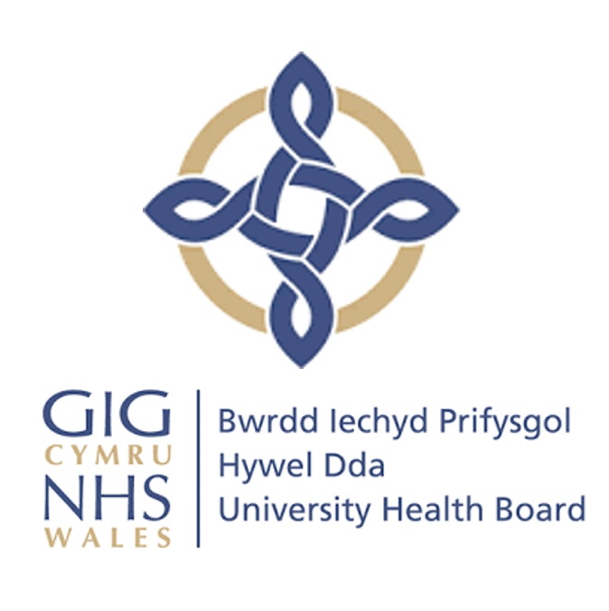 Hywel Dda University Health Board ~ Vice-Chair – Dynamic Boards