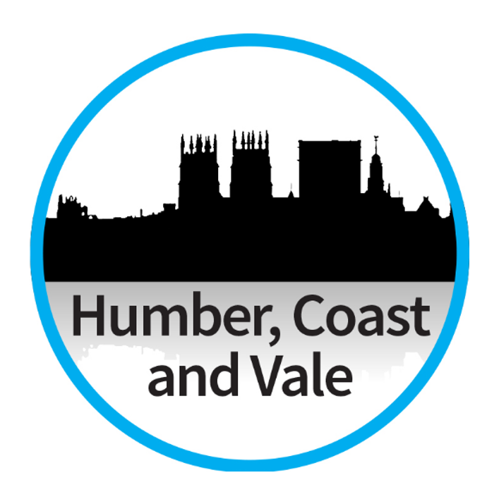 Humber, Coast and Vale ICS ~ Chair – Dynamic Boards