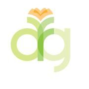 Alternative Futures Group ~ Chair – Dynamic Boards