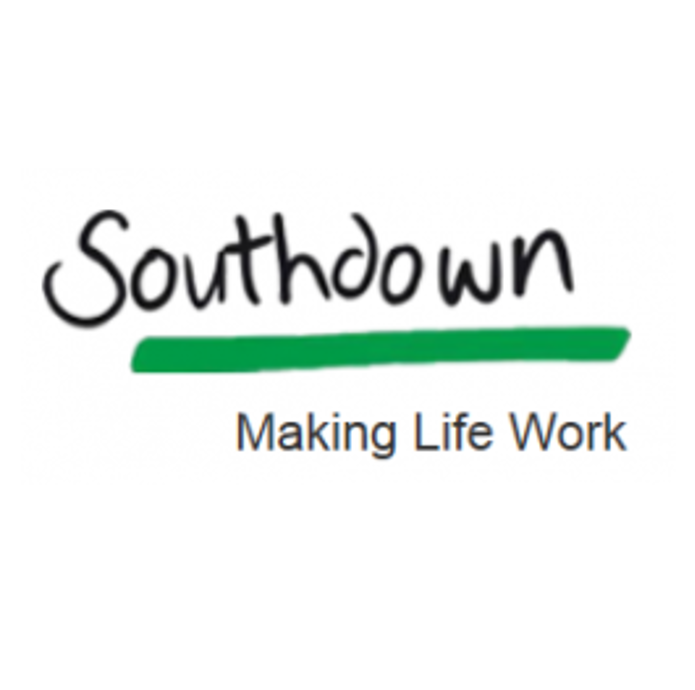 Southdown ~ Board Members (3 roles) – Dynamic Boards