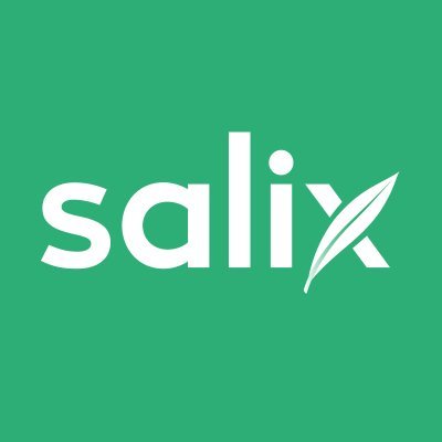 Salix Finance Limited ~ Chairman – Dynamic Boards