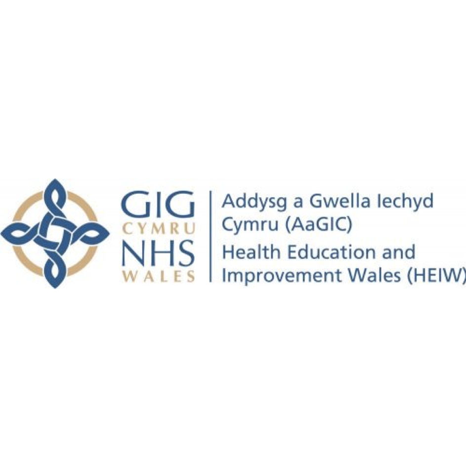 Health Education and Improvement Wales ~ Independent Member – Dynamic ...