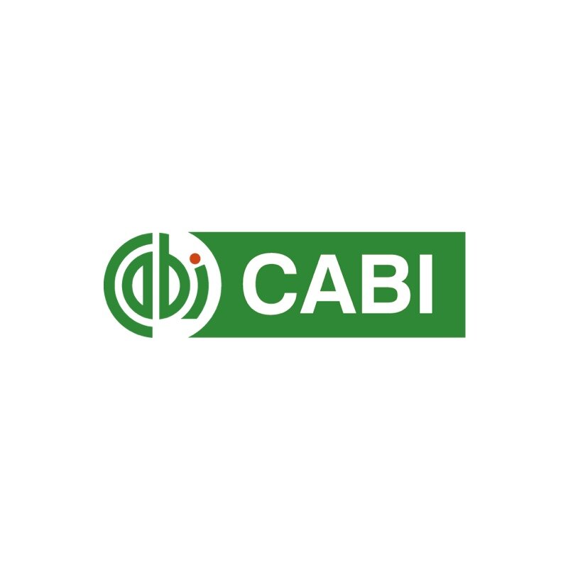 CABI, Audit & Risk Committee ~ Non-Executive Chair – Dynamic Boards