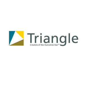 Triangle Consulting Social Enterprise Limited ~ Chair – Dynamic Boards