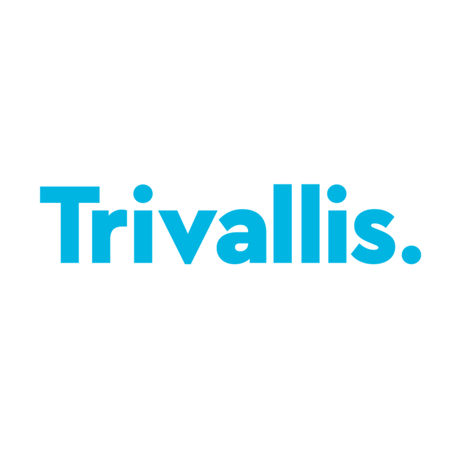 Trivallis ~ Co-Opted Members (2 roles) – Dynamic Boards
