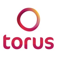 Torus Group ~ Board Member – Dynamic Boards