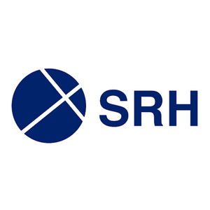 Scottish Rail Holdings, Audit & Risk Committee ~ Non-Executive Director ...