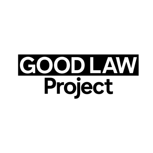 Good Law Project ~ Non-Executive Director – Dynamic Boards