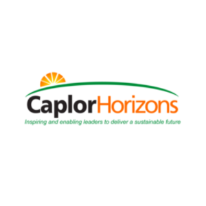Caplor Horizons ~ Trustees (3 roles) – Dynamic Boards