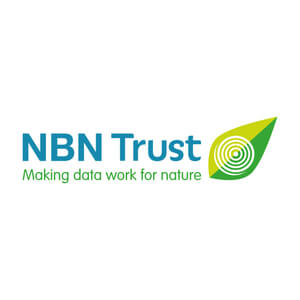 NBN Trust ~ Chairperson – Dynamic Boards