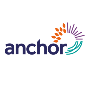 Anchor ~ Resident Board Member – Dynamic Boards