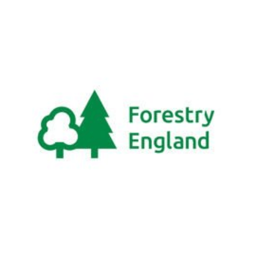 Forestry England ~ Non-Executive Director – Dynamic Boards