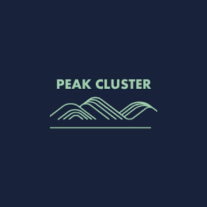 Peak Cluster Limited ~ Independent Non-Executive Director – Dynamic Boards